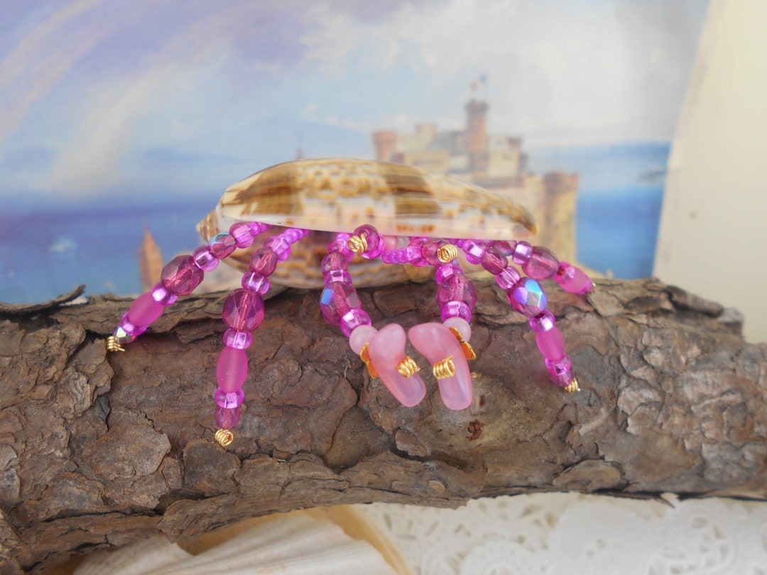 Beaded Real Ocean Seashell Hermit Crab, Summer Decoration, Housewarming ...