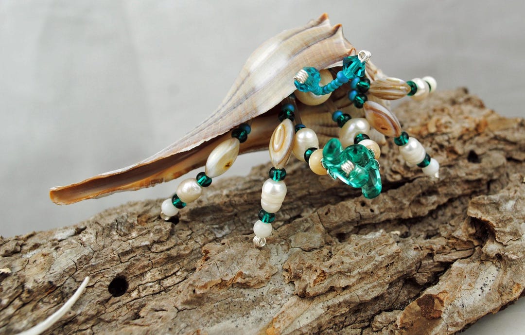 Original Local Shell Seashell Chincoteague Island Virginia Lighting ...