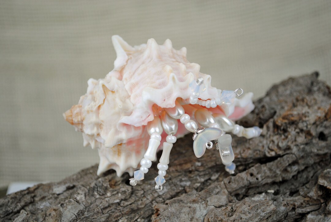 Beach House Summer Unique Decoration, Real Seashell MOP White Albino ...