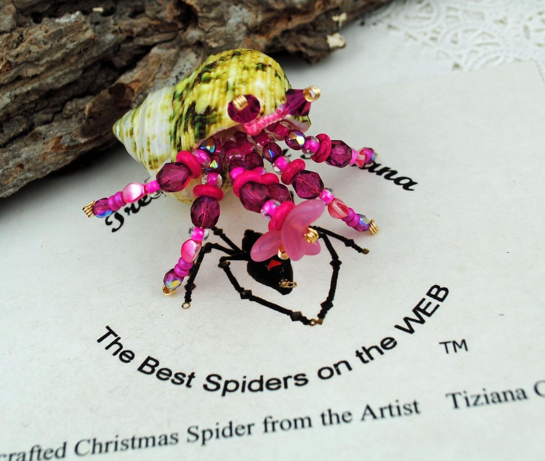 Beaded Real Ocean Seashell Hermit Crab, Summer Decoration, Housewarming ...