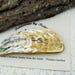 Palm Tree Oyster Shell Ornament, Seashell Christmas Ornament, Palm Tree ...