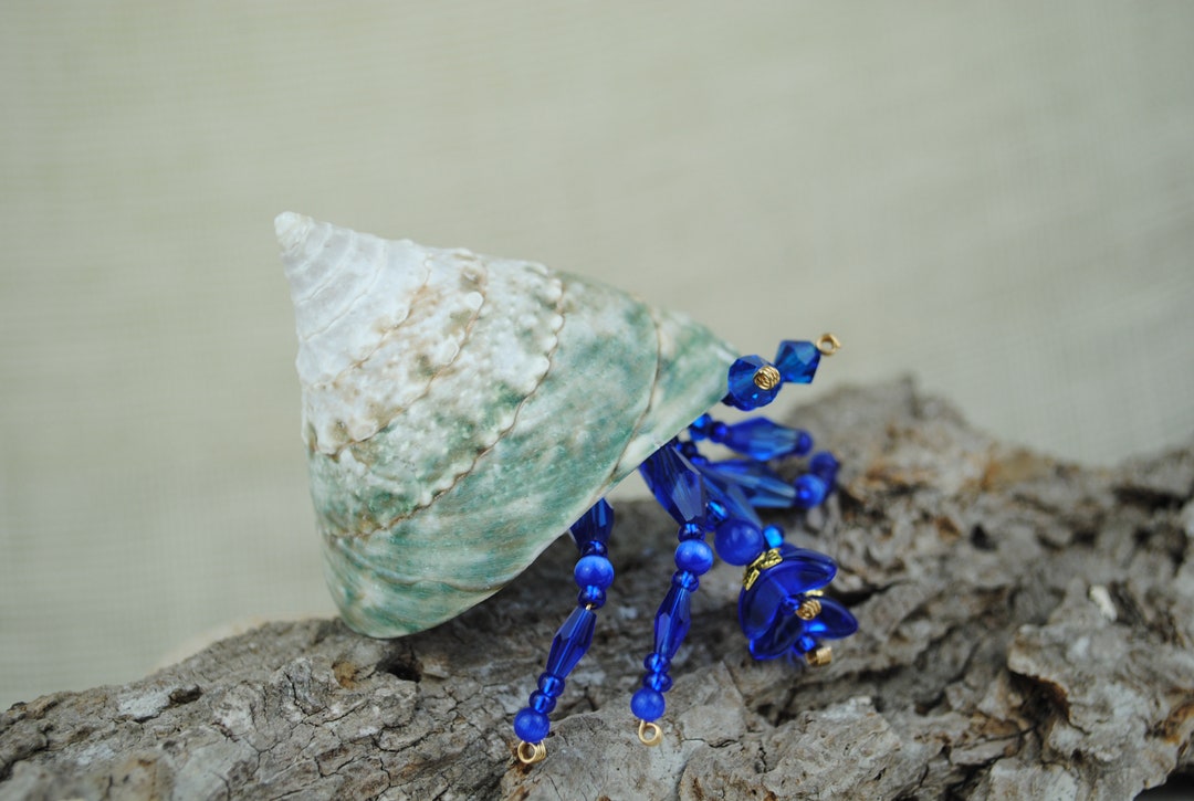 Beach House Summer Unique Decoration, Real Unique Seashell Deep Blue ...