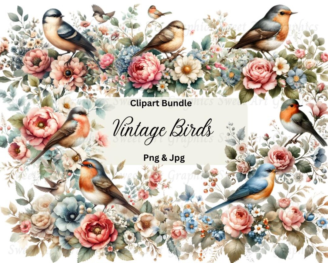 Vintage Birds and Flowers Png & Jpg Digital Clipart, Vintage Florals ...
