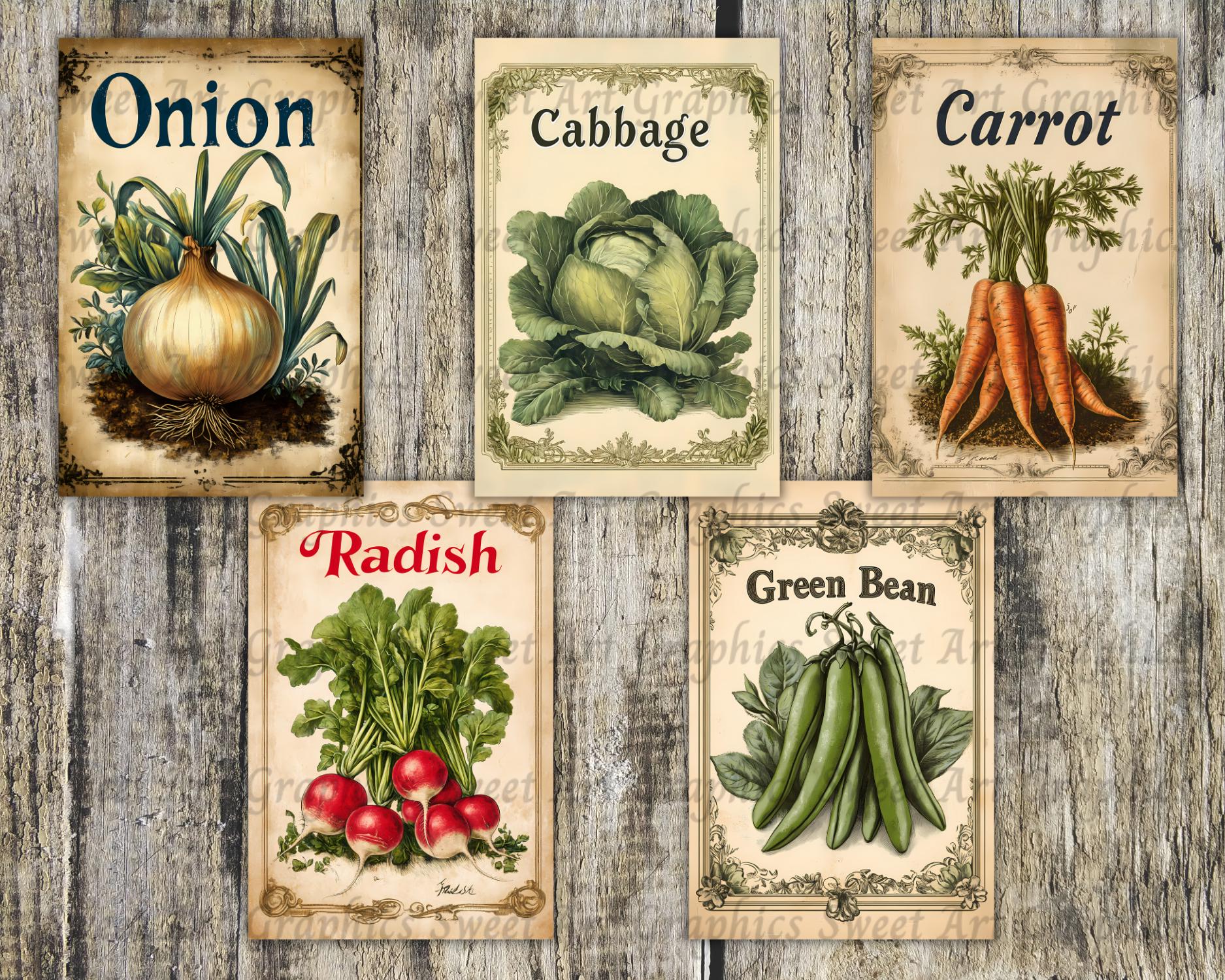 Vintage Vegetable Seed Packet Printables: Antique Garden Ephemera (JPG ...