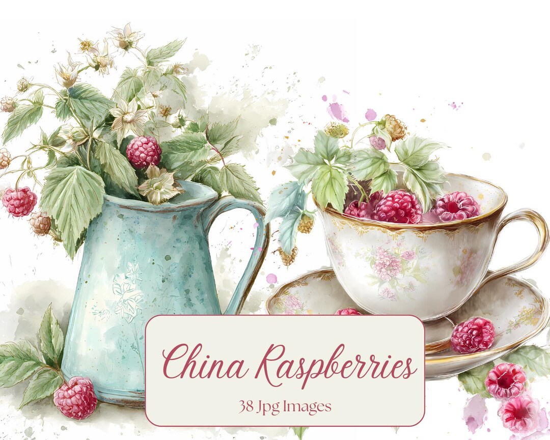 China Raspberries Clipart Set | Vintage Raspberry & Nettle China ...