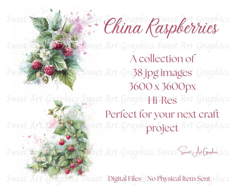 China Raspberries Clipart Set | Vintage Raspberry & Nettle China ...