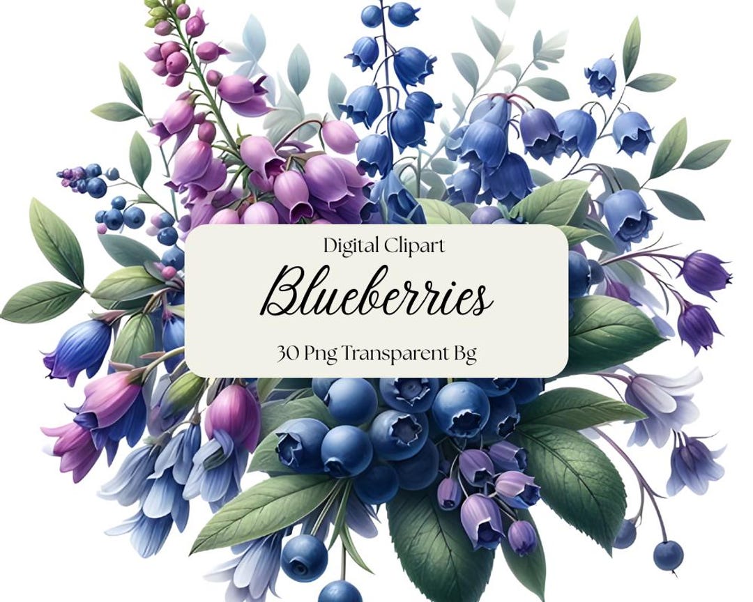 Blueberries Digital Clipart, 30 Individual Images, Fruit Graphics, Food ...
