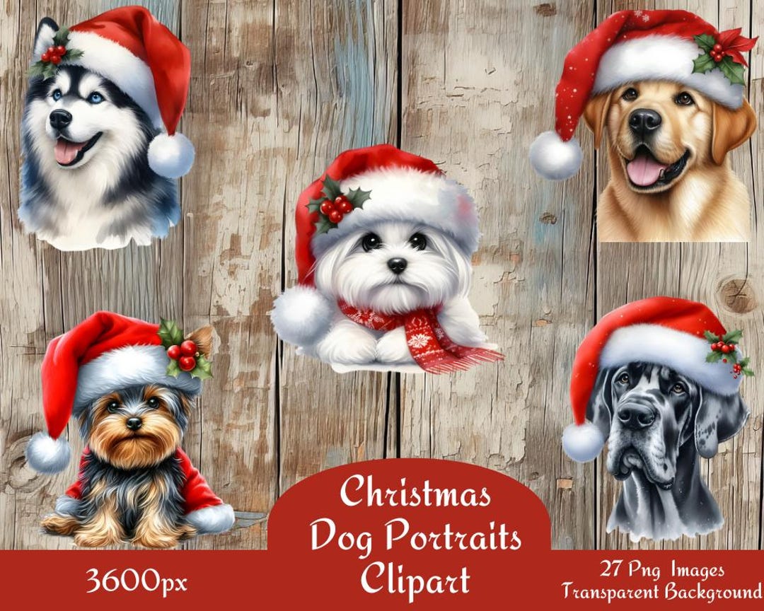 Christmas Dog Portraits Clipart Pets Dogs, Christmas Present, Pet ...
