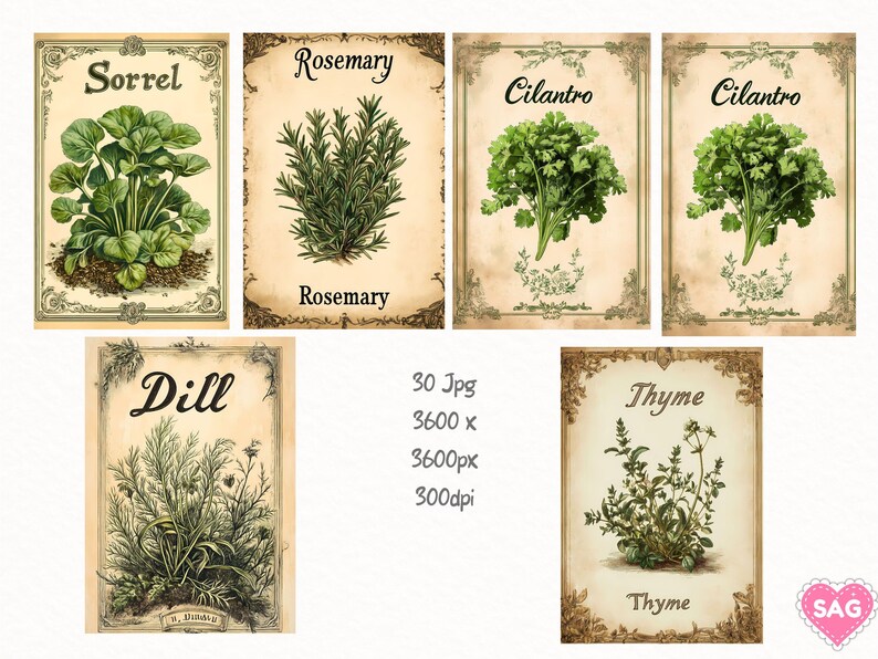 Vintage Herb Seed Packet Printables: Antique Garden Ephemera (digital ...