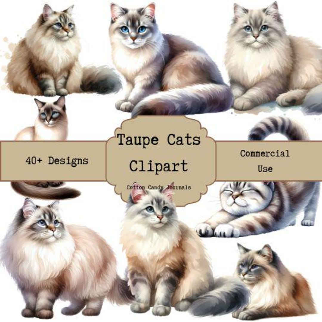 Watercolor Taupe Cats Clipart: Commercial License (PNG Digital Download ...