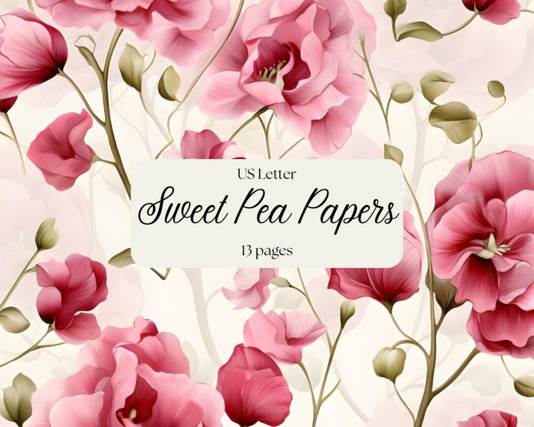 Sweet Pea Floral Digital Paper: US Letter Scrapbook Graphics (13 ...