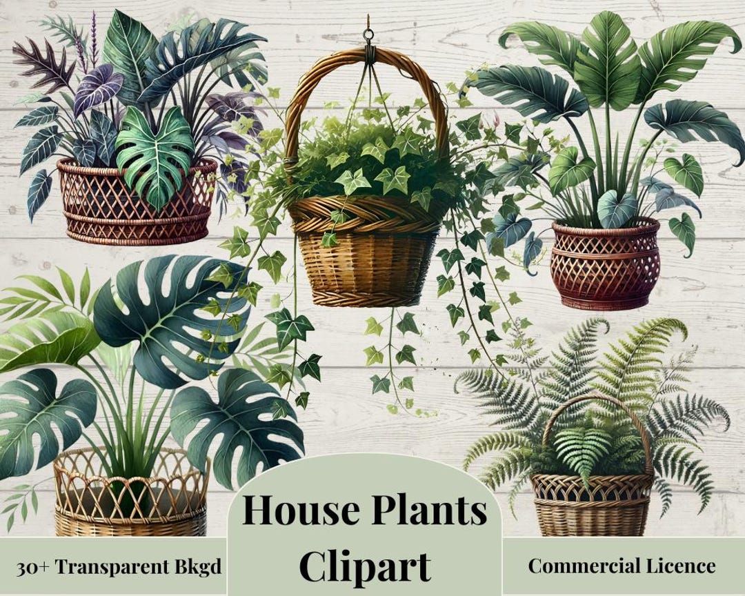 House Plants Clipart: Basket Plants, Indoor Gardening (digital Download ...