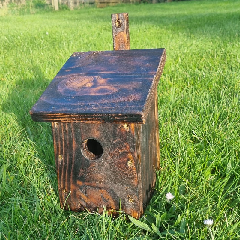 Bird Box - Etsy UK