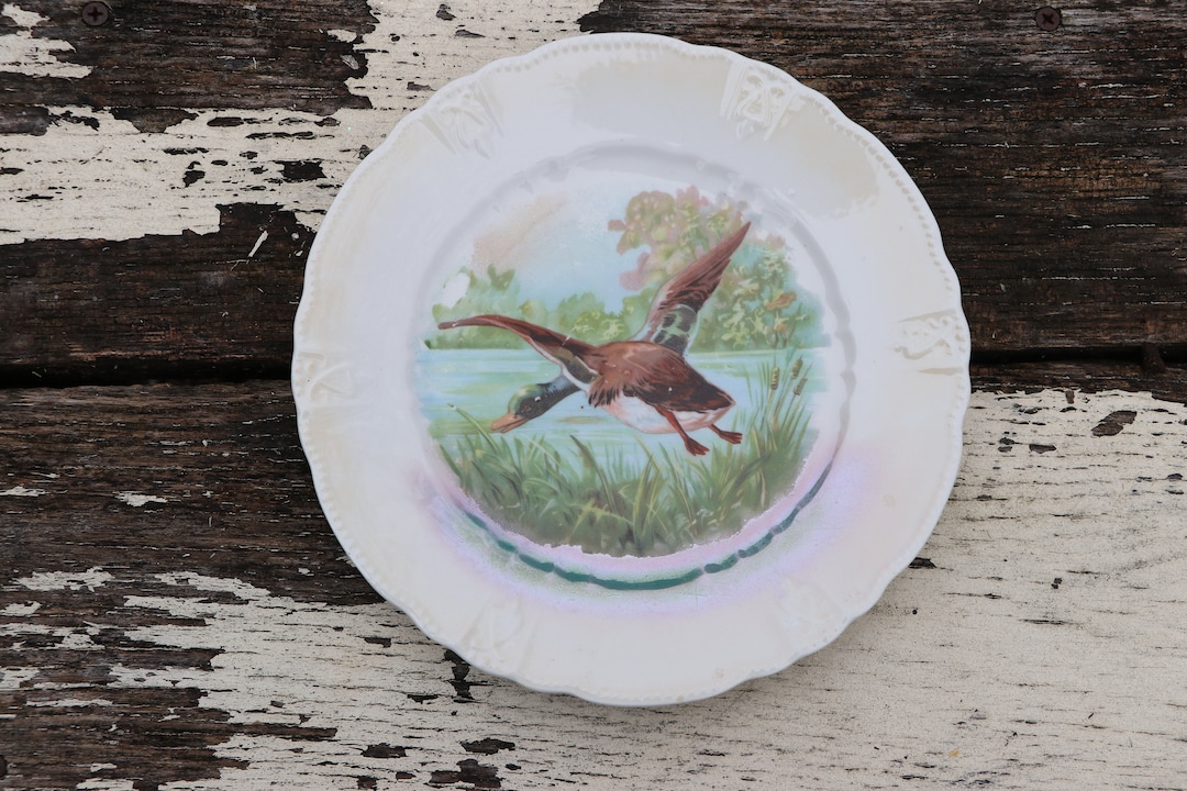 Vintage 1900s Unmarked Hand Painted Porcelain Duck Bird Plate, Early ...