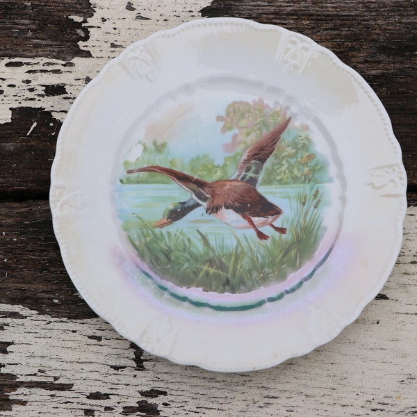 Duck Plates - Etsy