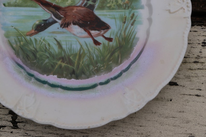 Vintage 1900s Unmarked Hand Painted Porcelain Duck Bird Plate | Etsy