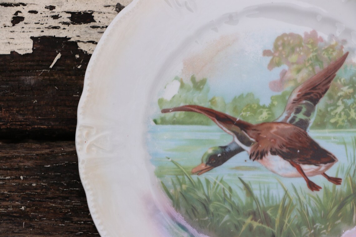 Vintage 1900s Unmarked Hand Painted Porcelain Duck Bird Plate - Etsy