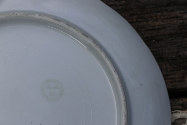 Vintage Roses Plate Three Crown China Germany Floral Plate - Etsy