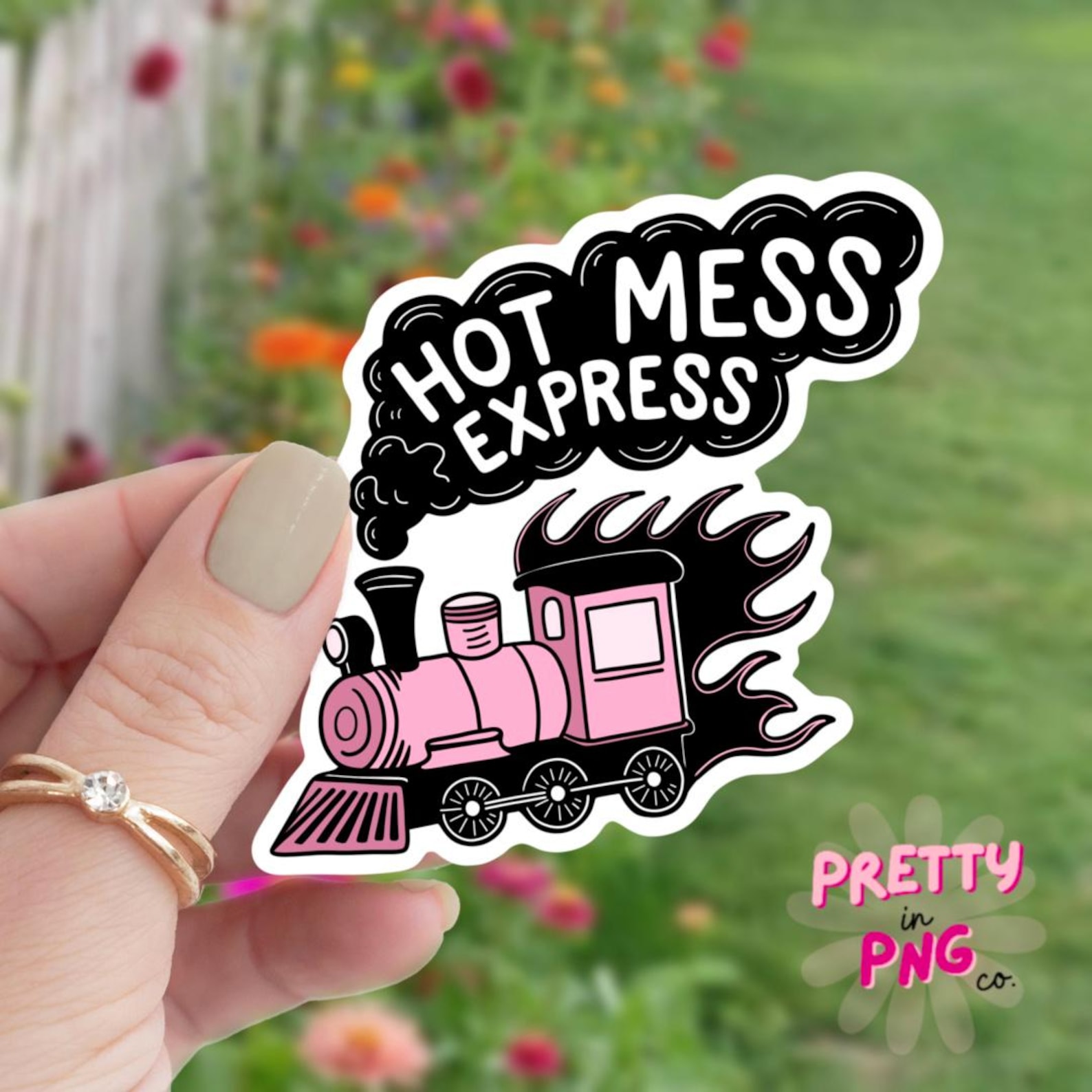 Hot Mess Express PNG | Funny Pink Train Digital Download | Chaos Humor ...