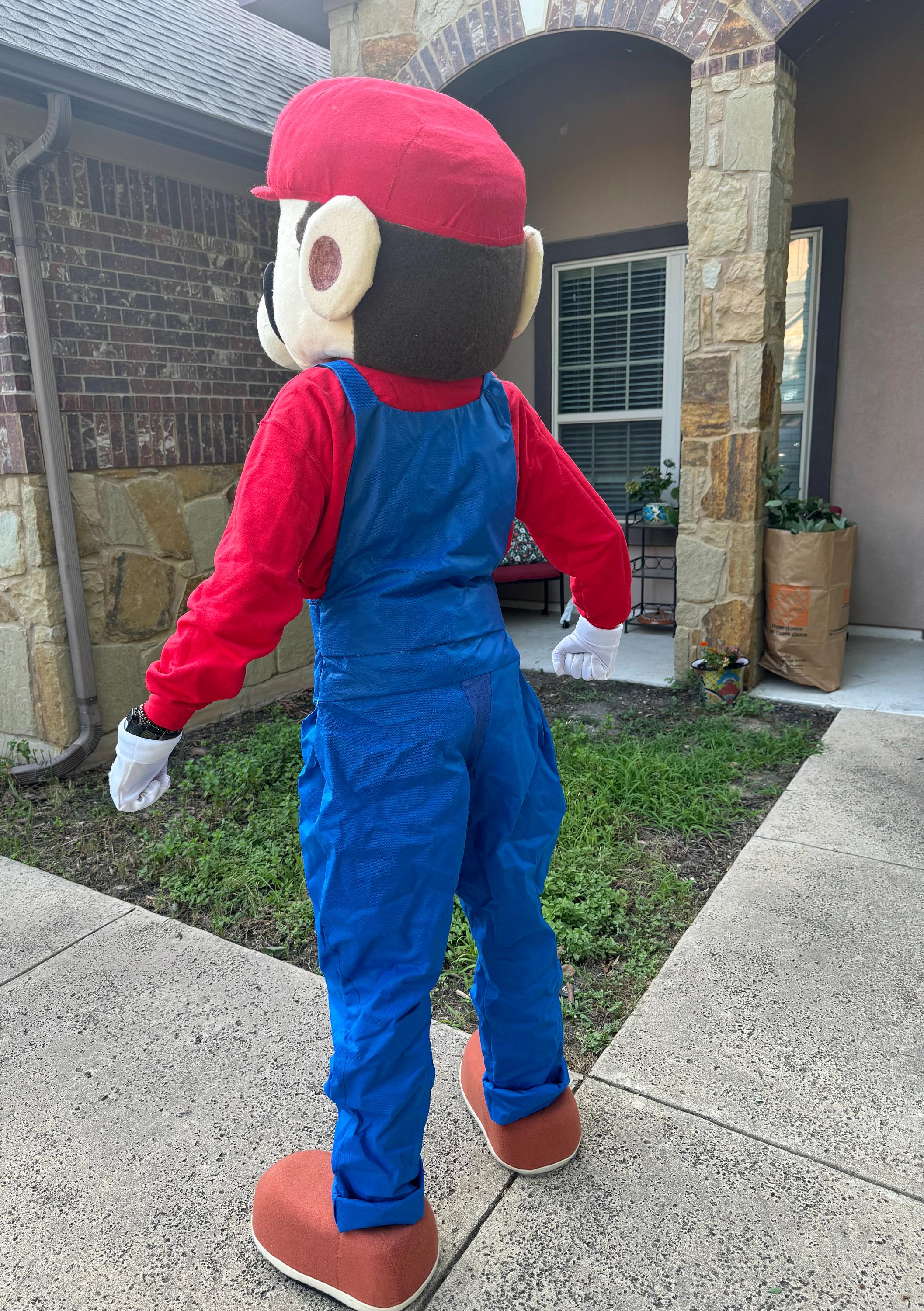 Custom Mario Mascot Costume for Adults (gently Worn) - Etsy