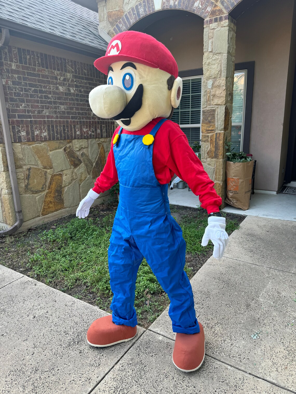 Custom Mario Mascot Costume for Adults (gently Worn) - Etsy