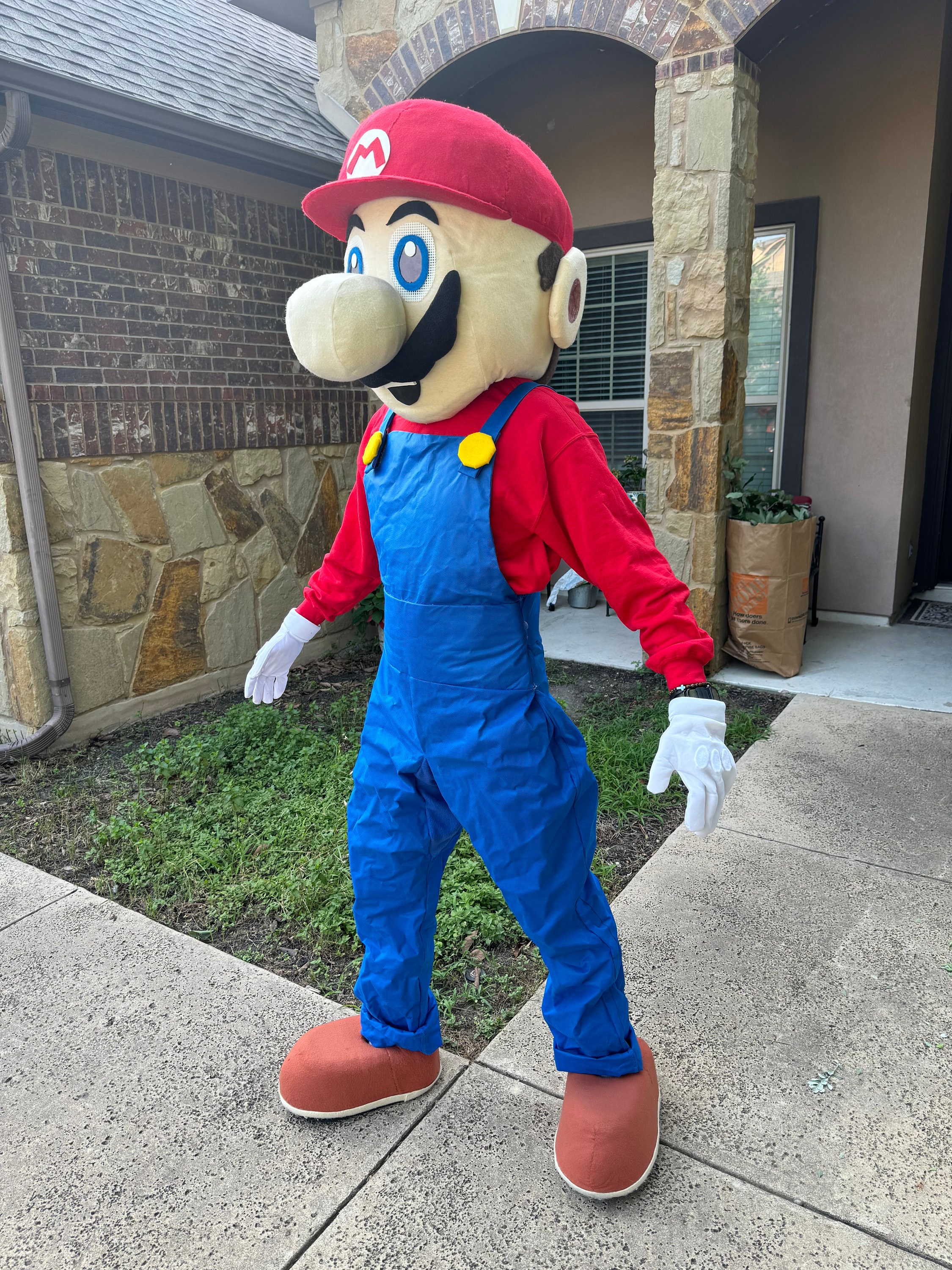Custom Mario Mascot Costume for Adults (gently Worn) - Etsy