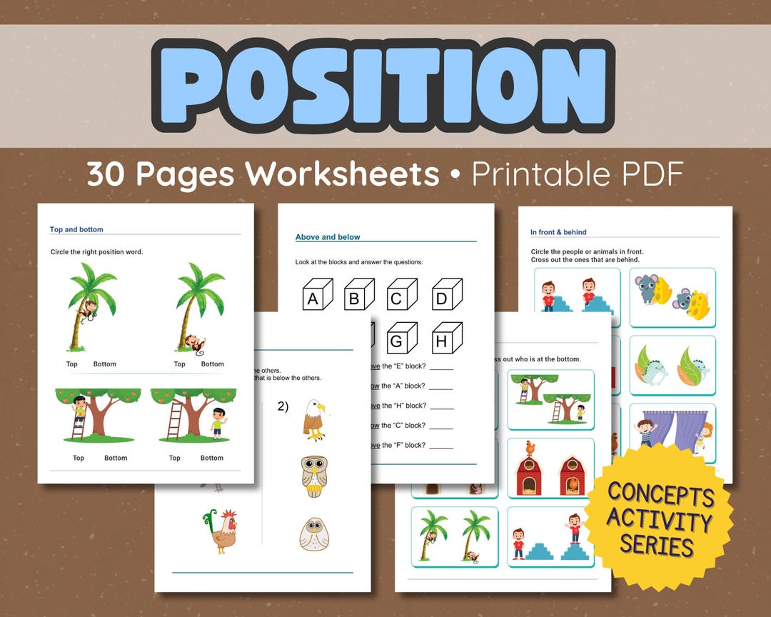 Position Worksheets for Preschool & Kindergarten | Positional Words ...