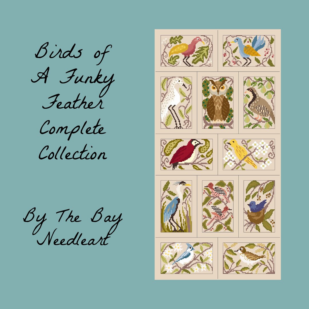 Birds of A Funky Feather Complete Collection - Etsy