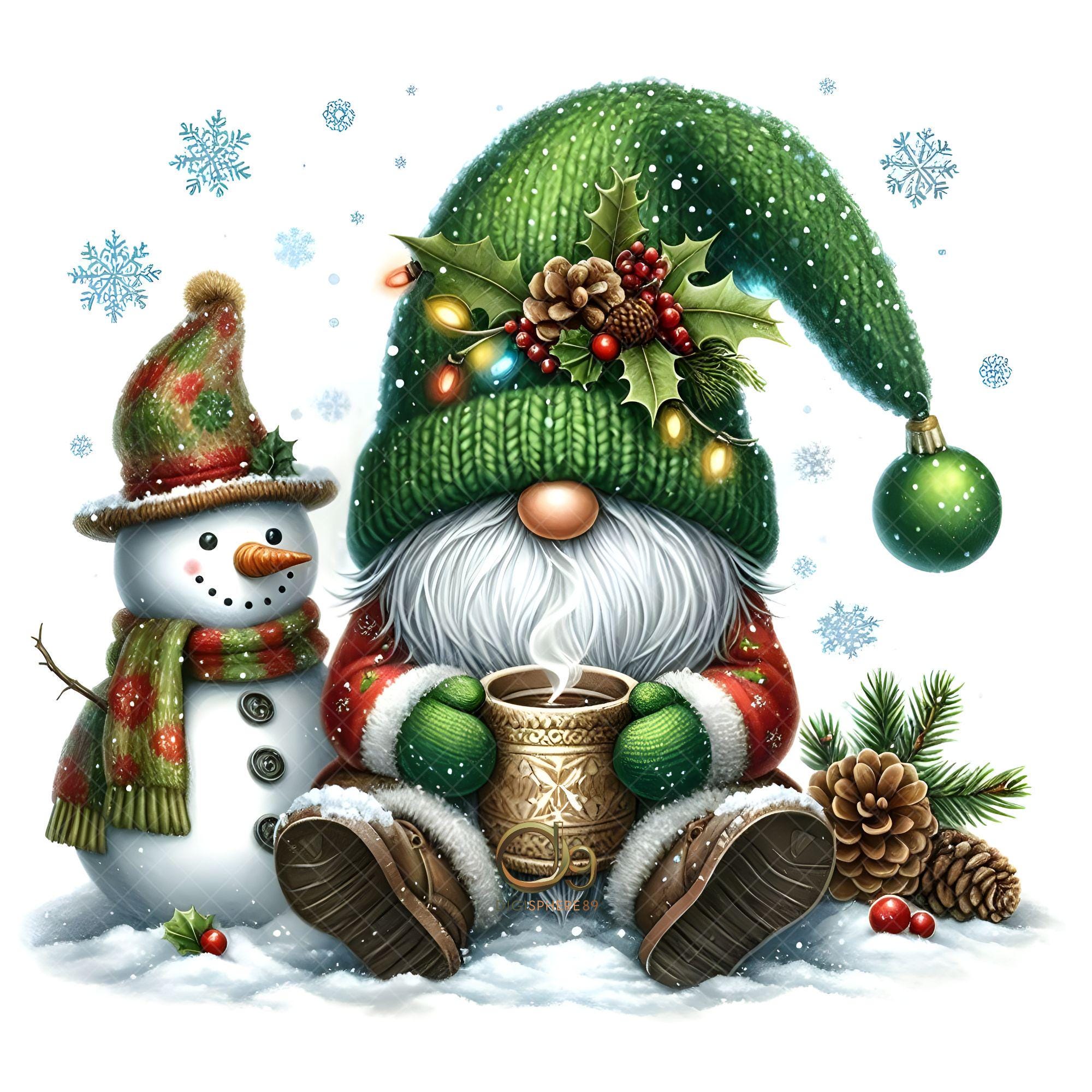 Winter Gnome Clipart, Set of 14 High Quality 300 DPI Jpegs, Christmas ...