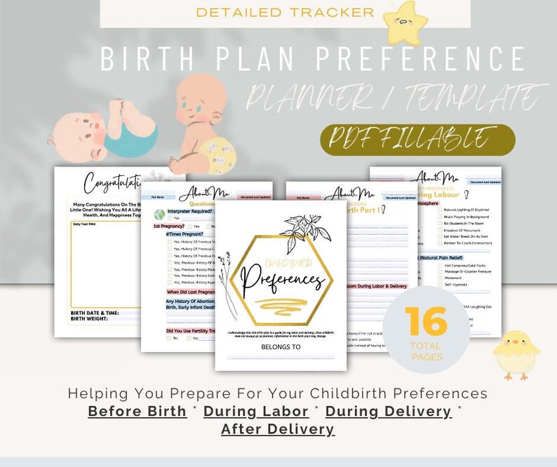 Birth Plan Template Printable Editable Labor and Delivery Preferences ...