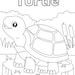 ANIMAL COLORING PAGES - Etsy