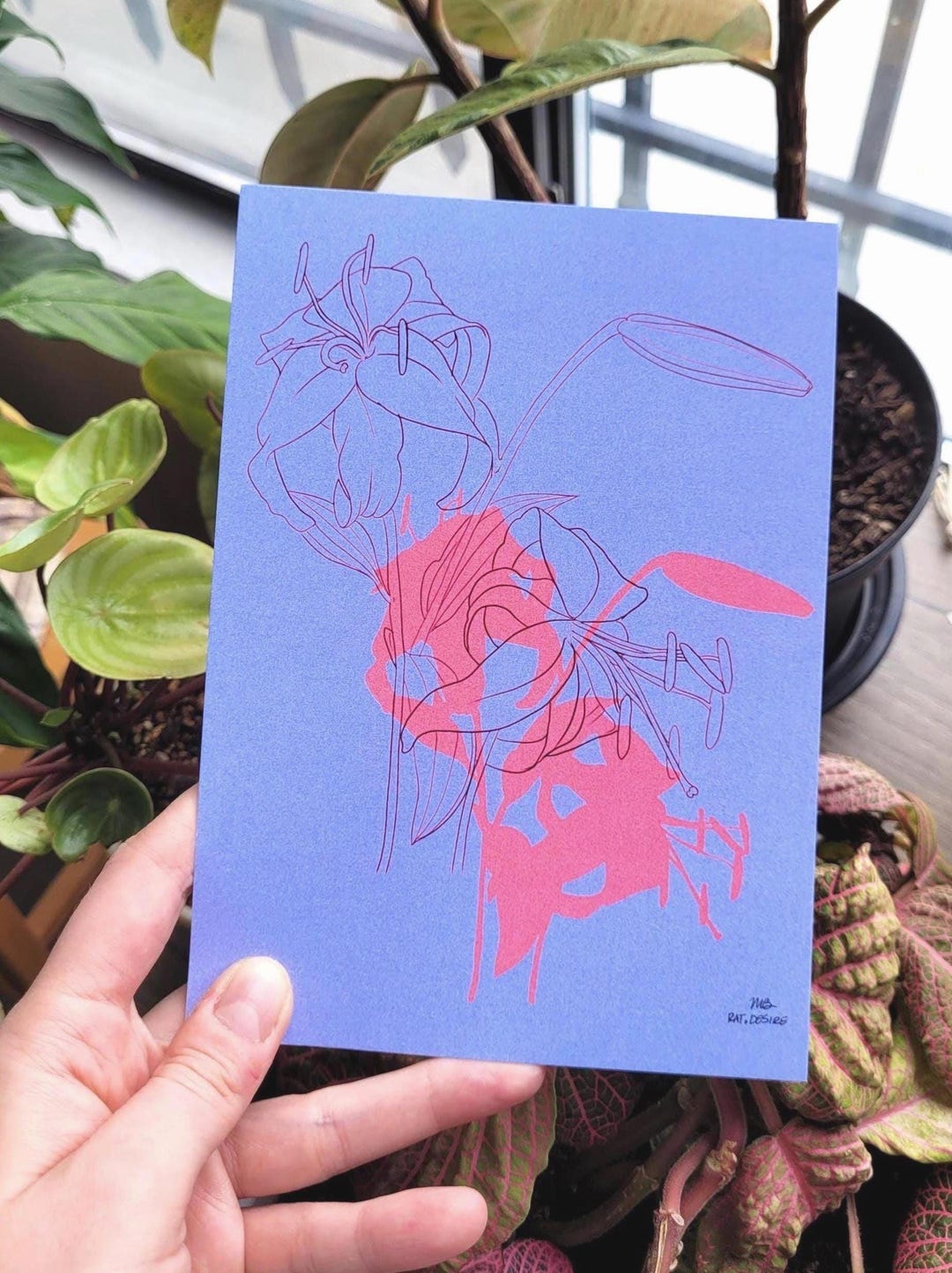 Shadow Lily Flower Art Print - Etsy