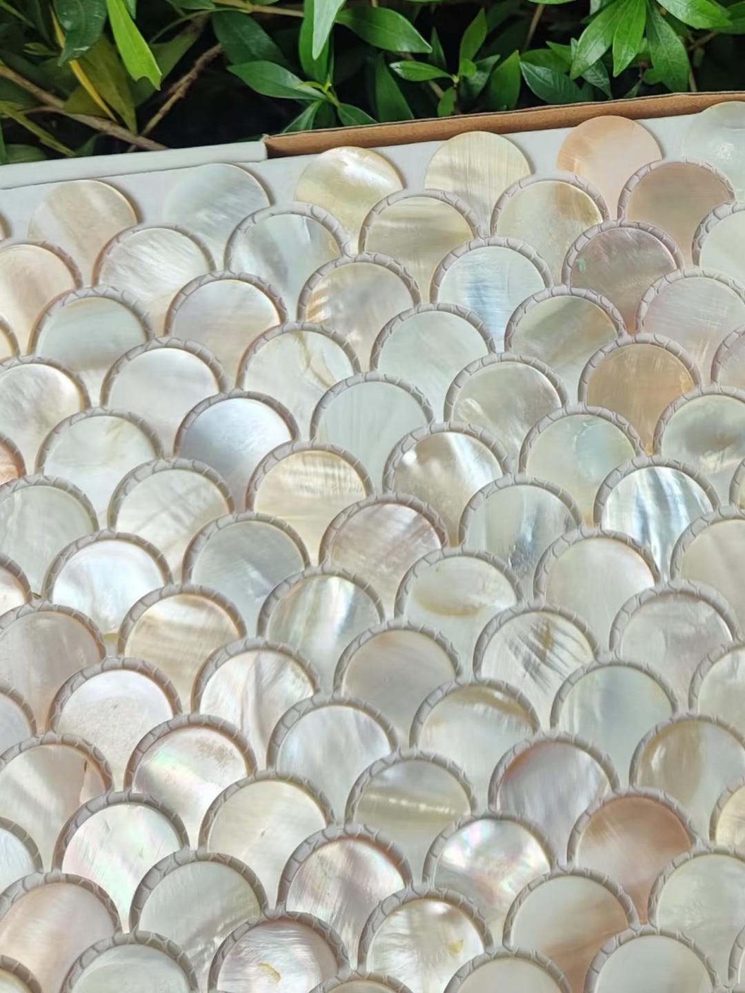 Handmade Fish Scale Mother of Pearl Mosaic Tile Natural Blush Rosy ...