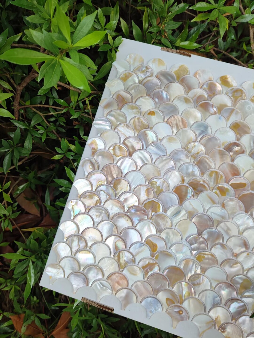 Handmade Fish Scale Mother of Pearl Mosaic Tile Amber Oil-pattern 100% ...