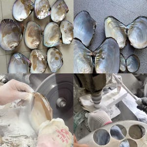Handmade Fish Scale Mother of Pearl Mosaic Tile Natural Blush Rosy ...