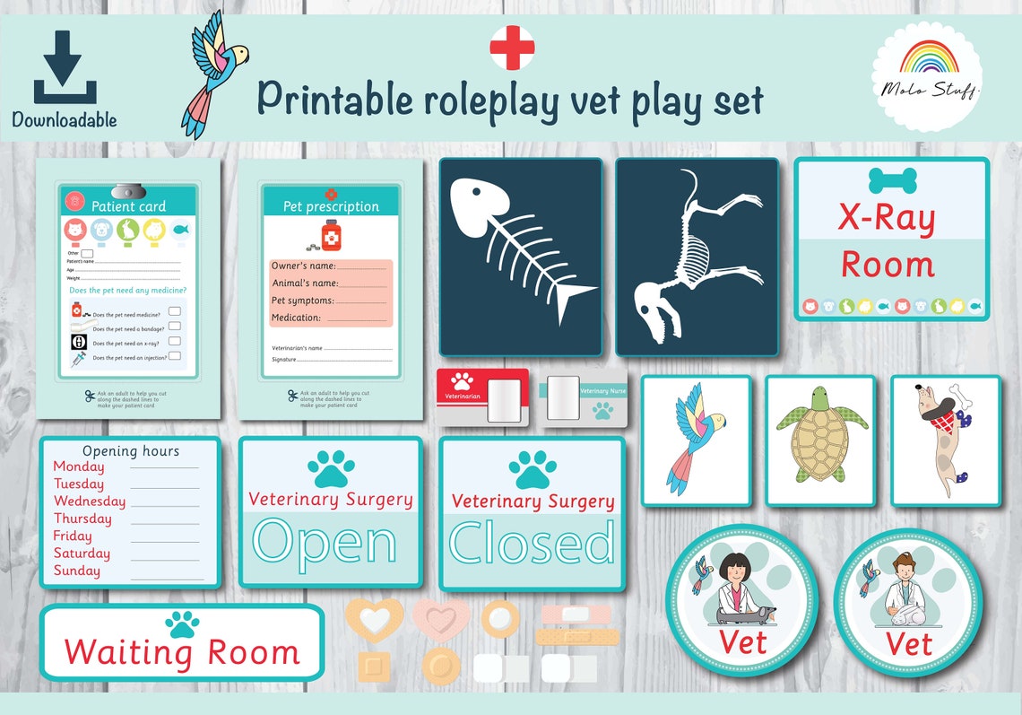 Veterinarian, Animal Doctor Imaginary Role Play - Cutout Vet Practice ...