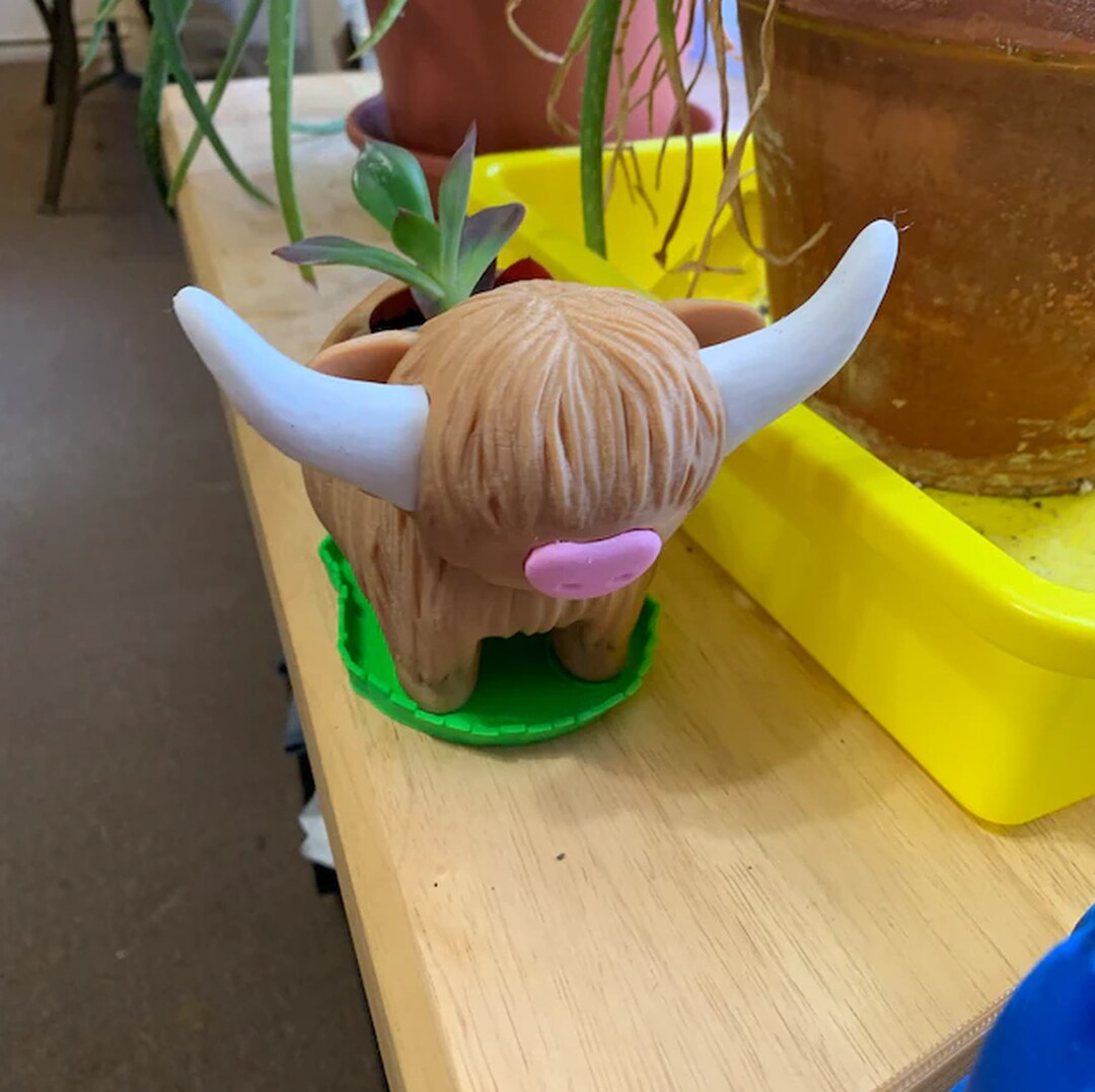 Scottish Highland Cow Planter With Grassy Field Drip Tray New 2024 - Etsy