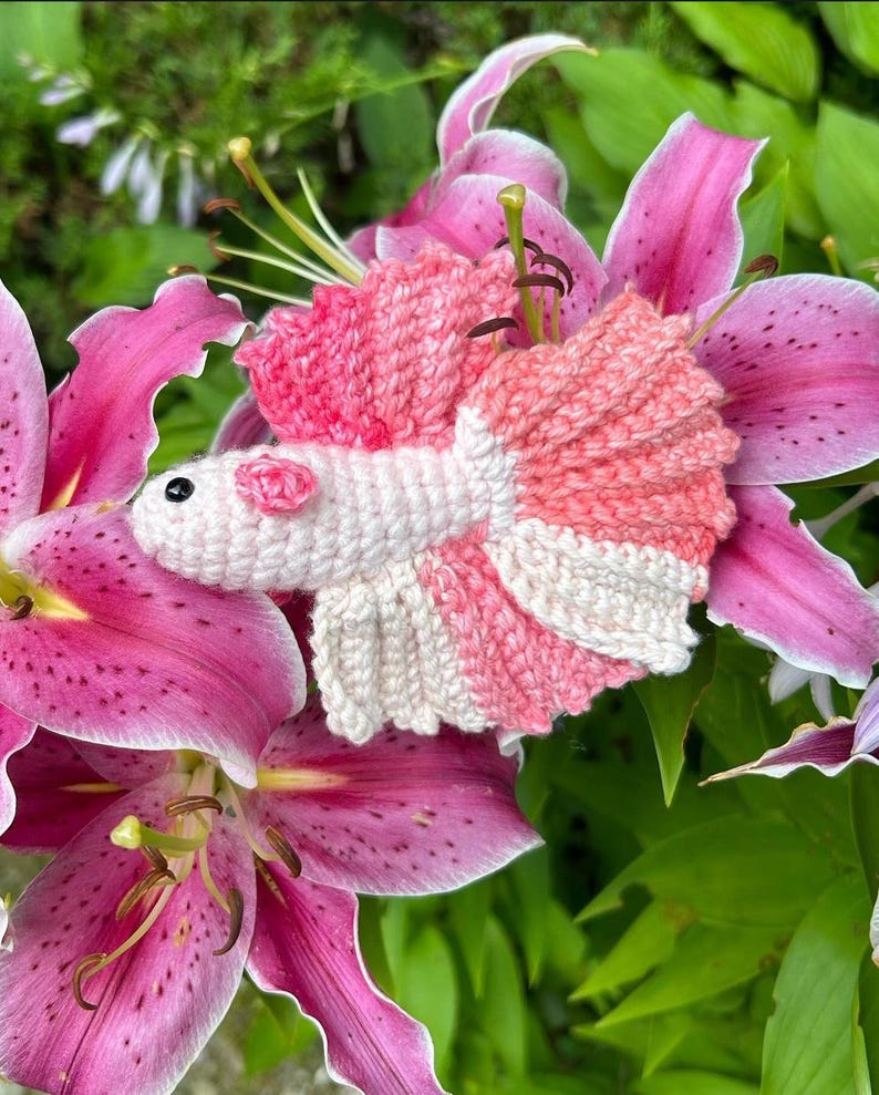Crochet Beta Fish - Etsy