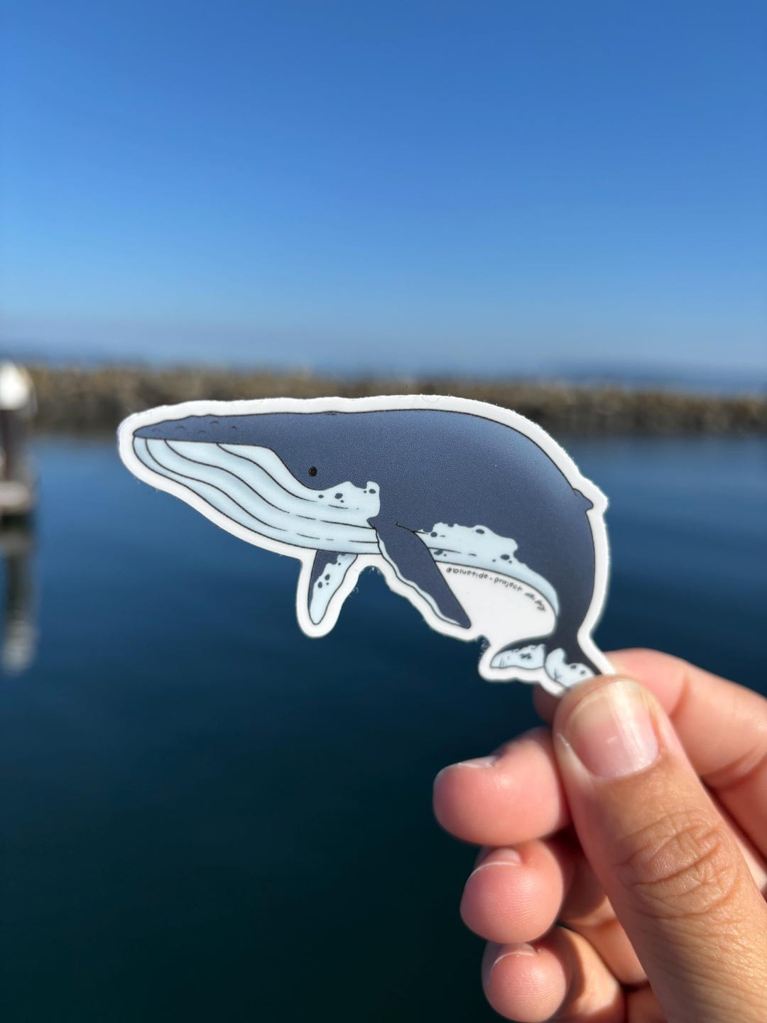 Cute Humpback Whale Sticker | Whale Doodle Sticker | Ocean Sticker ...