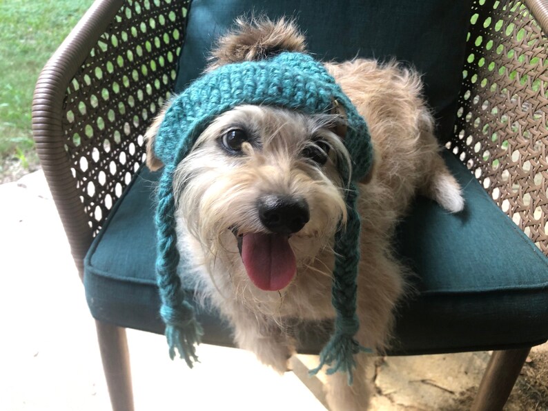 CUSTOM Dog Beanie, Dog Hat, Dog Accessories, Pet Beanie, Pick Your ...