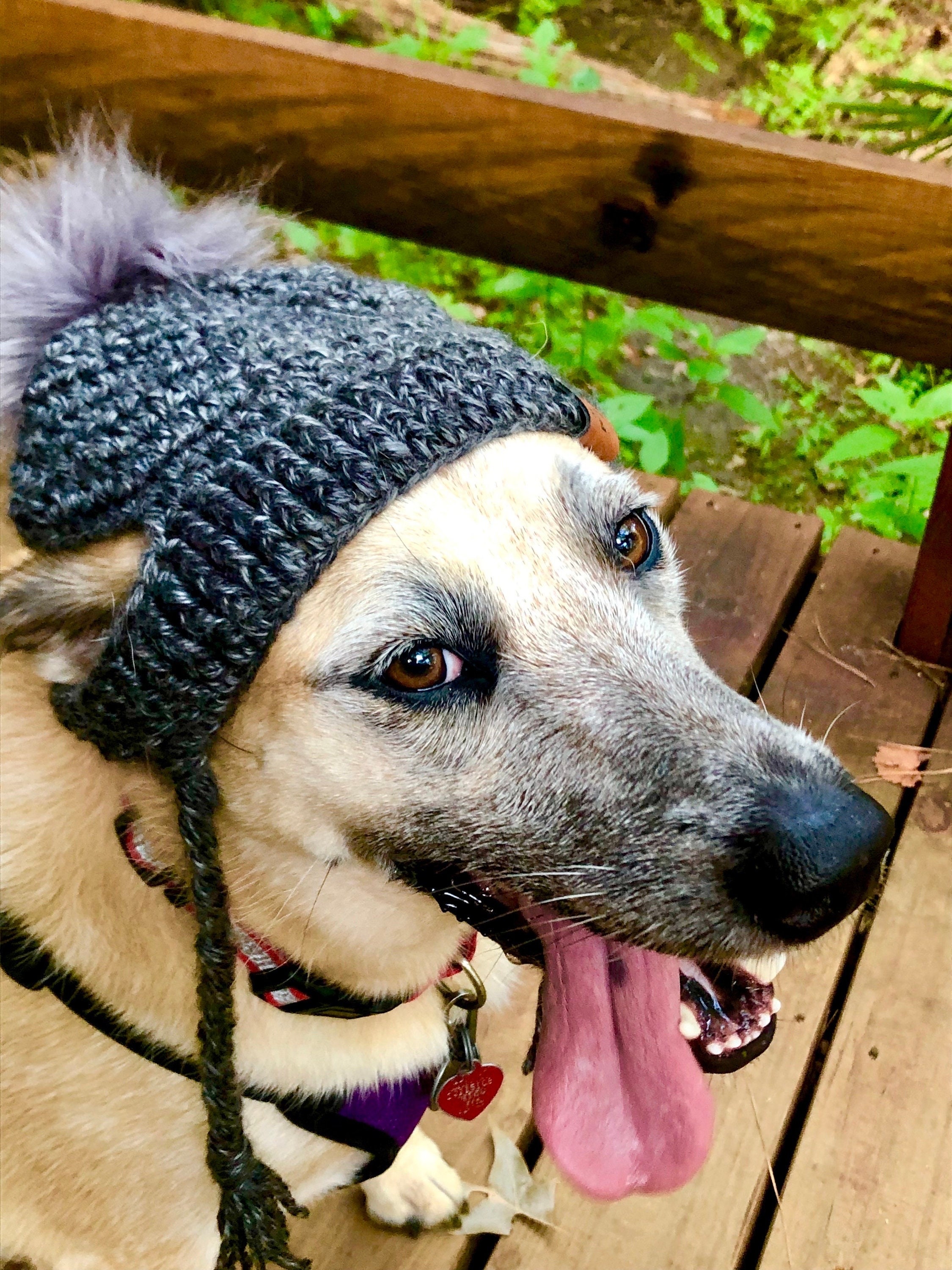 CUSTOM Dog Beanie, Dog Hat, Dog Accessories, Pet Beanie, Pick Your ...