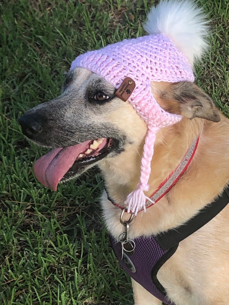 CUSTOM Dog Beanie, Dog Hat, Dog Accessories, Pet Beanie, Pick Your ...