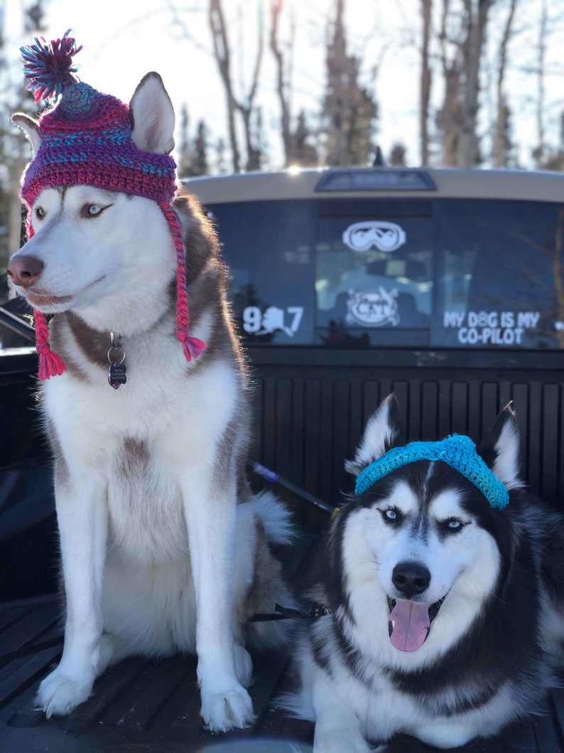 CUSTOM Dog Beanie, Dog Hat, Dog Accessories, Pet Beanie, Pick Your ...