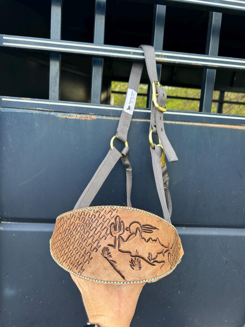 Custom Tooled Bronc Halters - Etsy