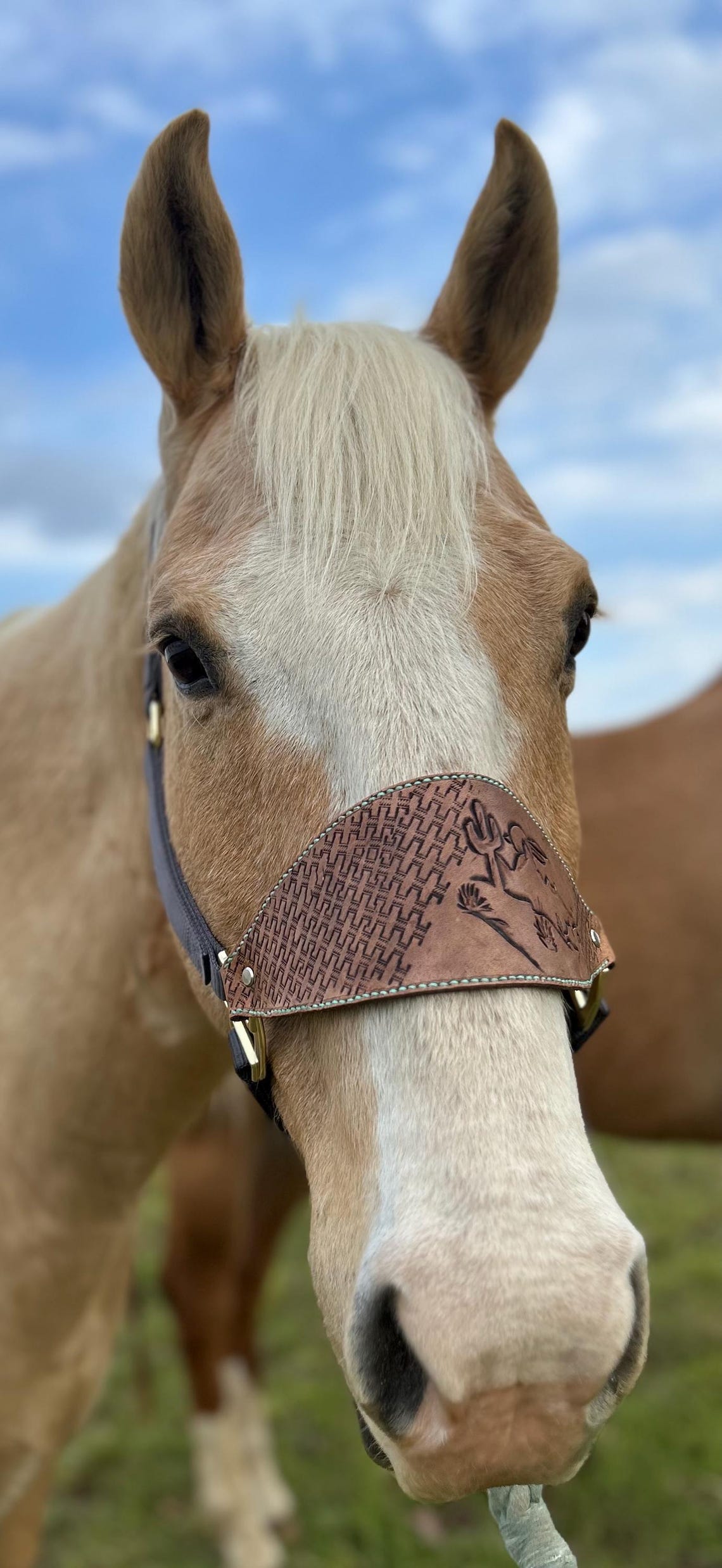 Custom Tooled Bronc Halters - Etsy