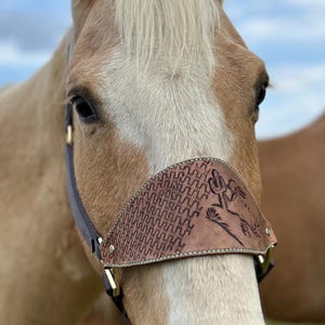 Custom Tooled Bronc Halters - Etsy