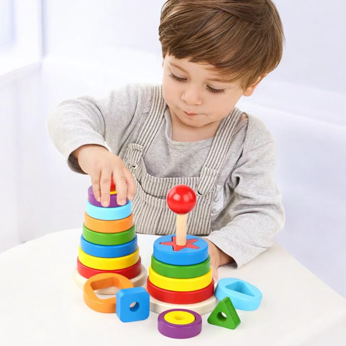 Montessori Colour Matching Games Toy - Early Childhood Learning Toy ...