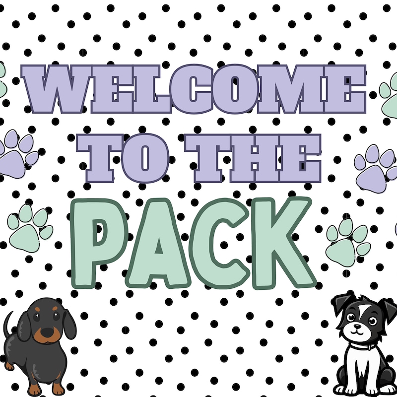 Pet Bulletin Board - Etsy
