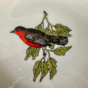 Vintage Fitz and Floyd Robin Plate, 1970's FF Red Breasted Robin ...