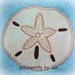 Sand Dollar Embroidery Applique Design - Etsy